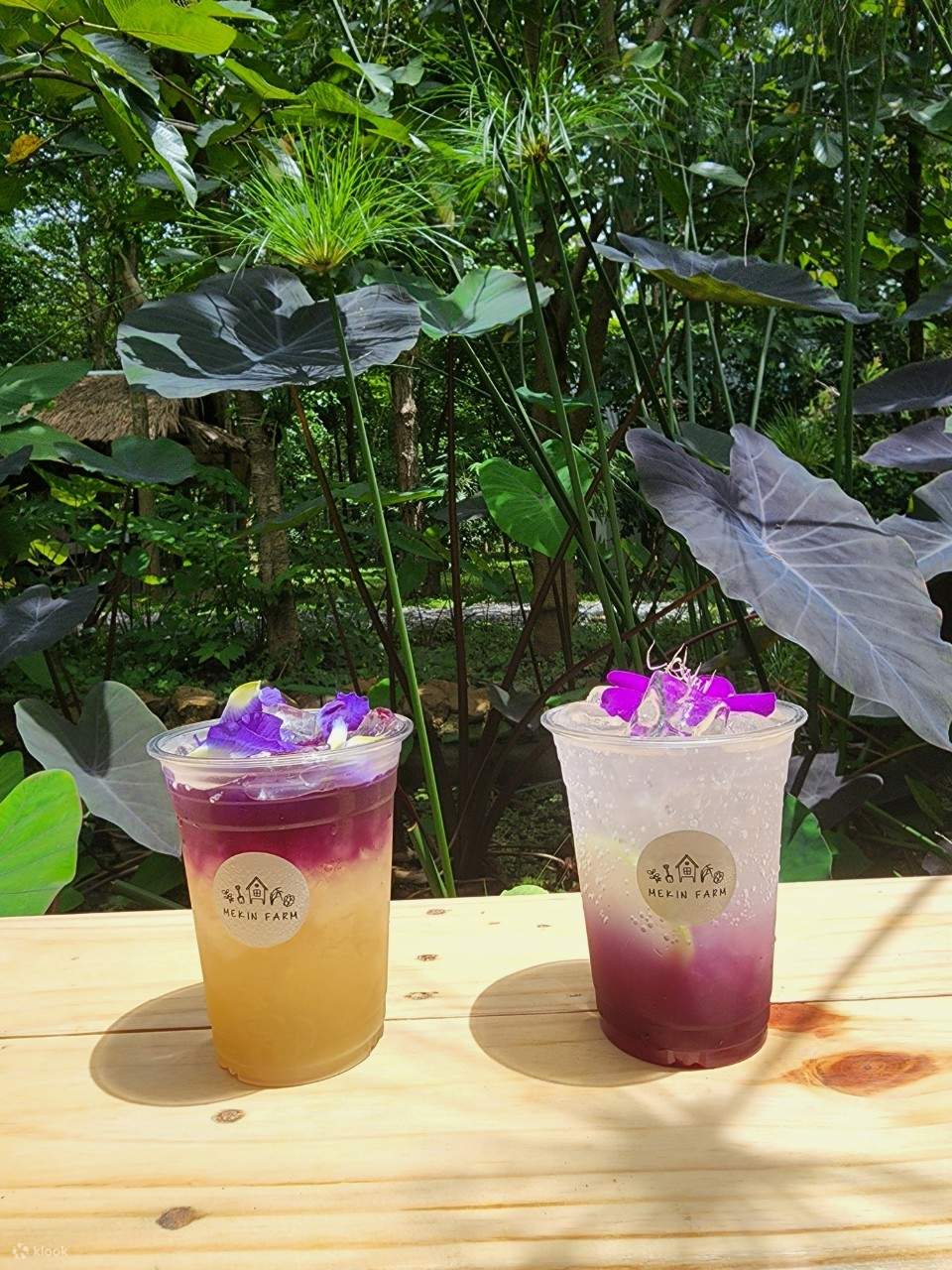 Mekin Farm in Khon Kaen - Michelin Bib Gourmand - 클룩 Klook 한국